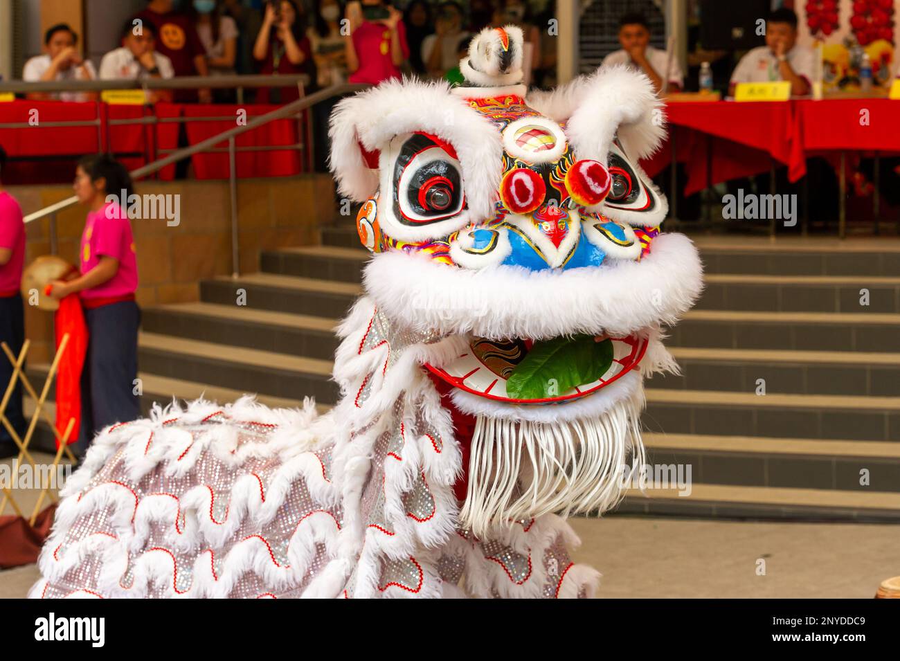 A traditional Southern Chinese Lion Dance Troupe Stock Photo - Alamy
