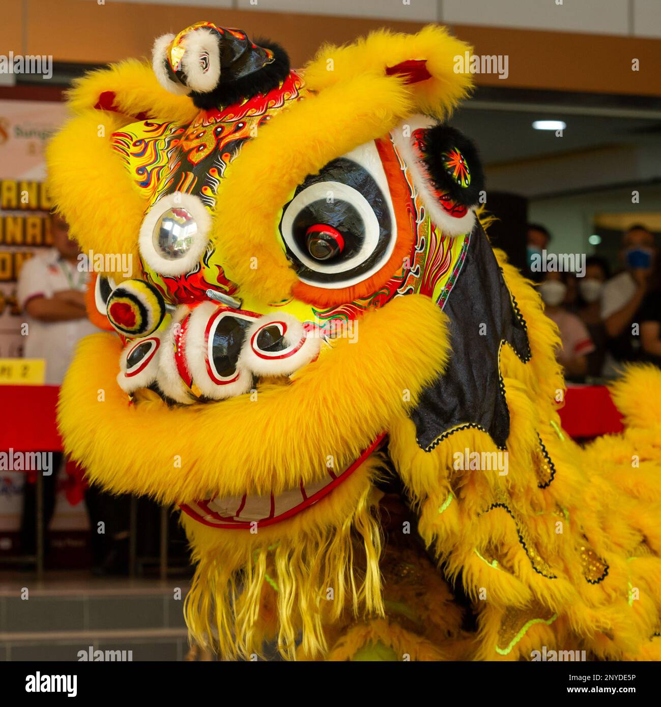 Chinese Lions Dance