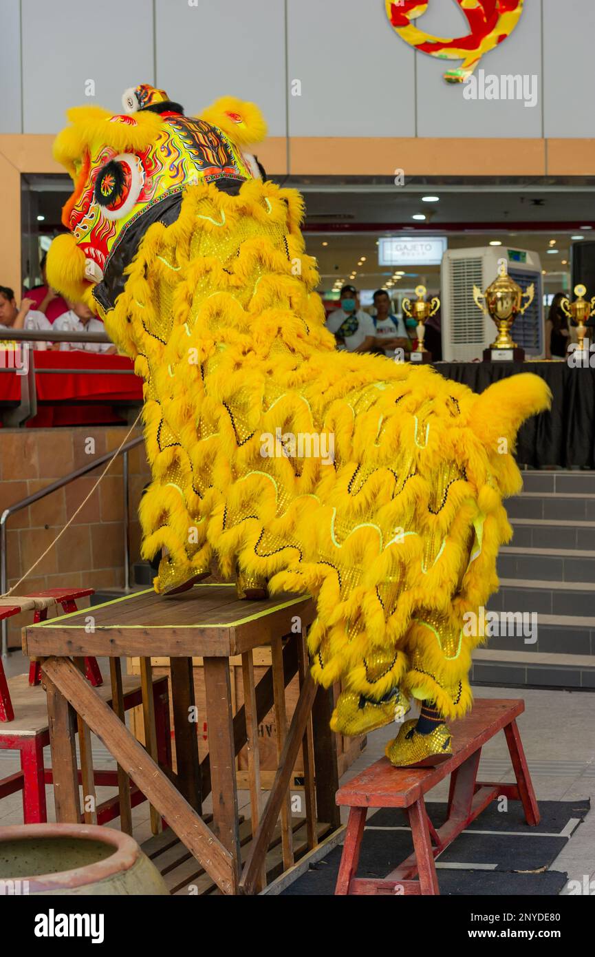 A traditional Southern Chinese Lion Dance Troupe Stock Photo - Alamy