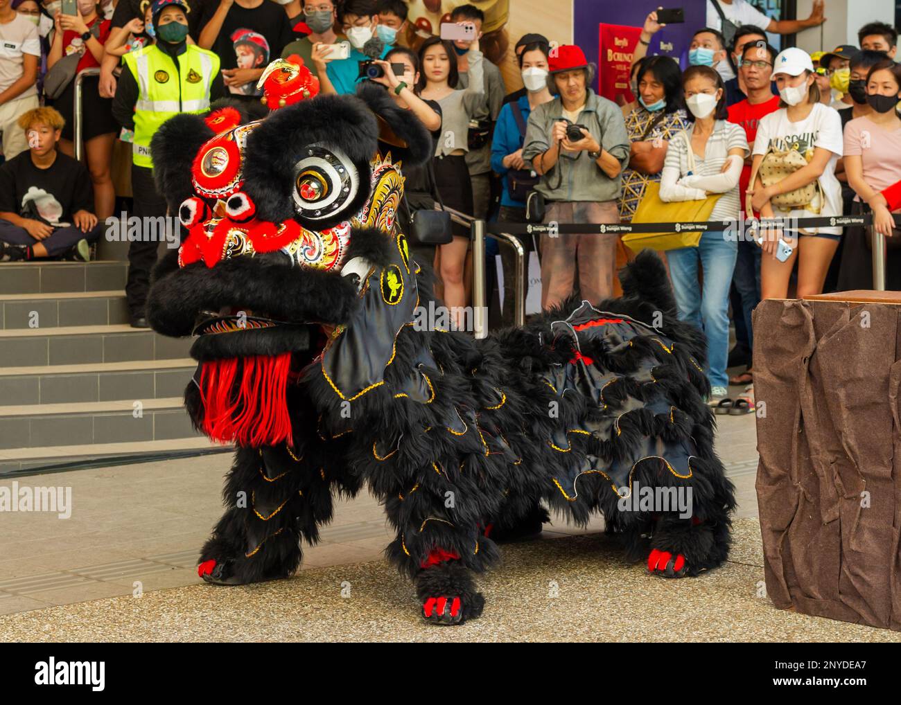 A traditional Southern Chinese Lion Dance Troupe Stock Photo - Alamy
