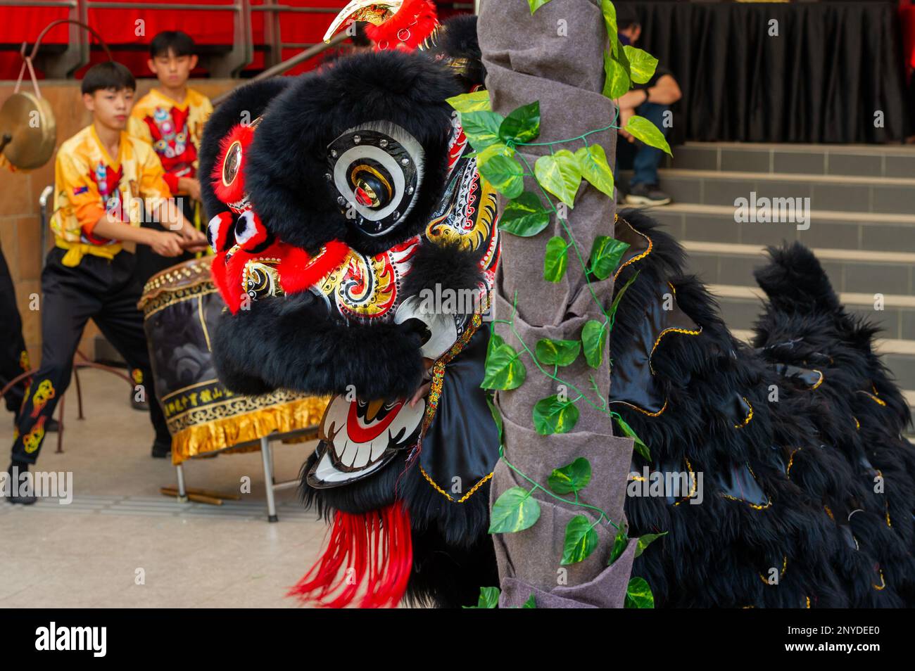 A traditional Southern Chinese Lion Dance Troupe Stock Photo - Alamy