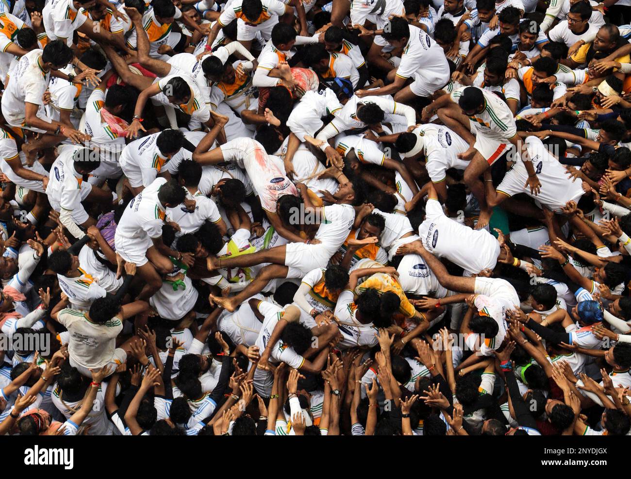 Indian youth collapse as they try to form a human pyramid to break the ...