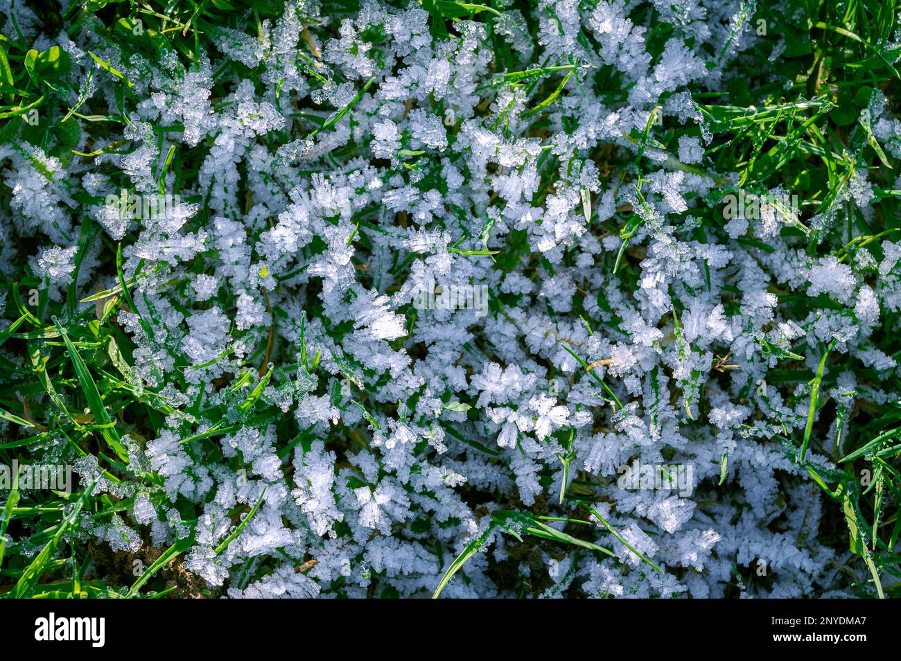 Icy green hi-res stock photography and images - Alamy