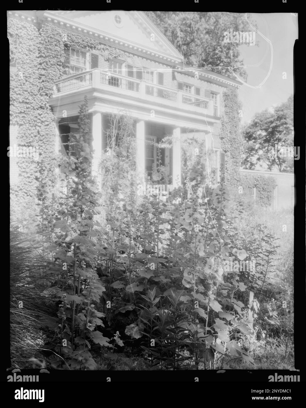 Blandfield, gardens, Caret vic., Essex County, Virginia. Carnegie ...