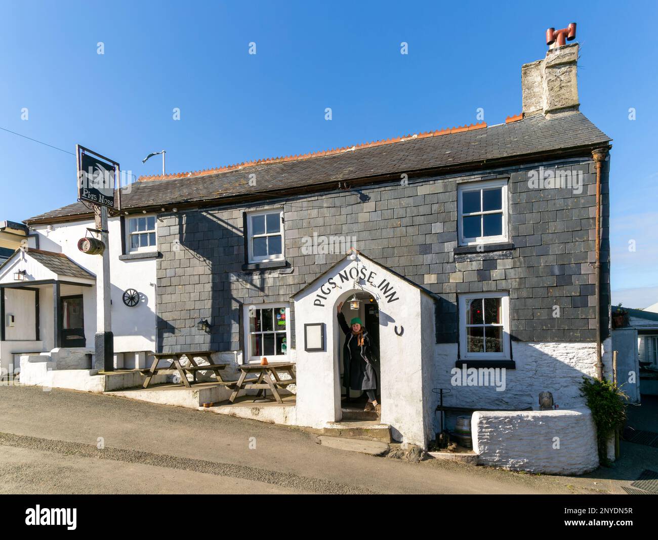 The Pigs Nose pub, East Prawle village, Devon, England, UK young woman ...