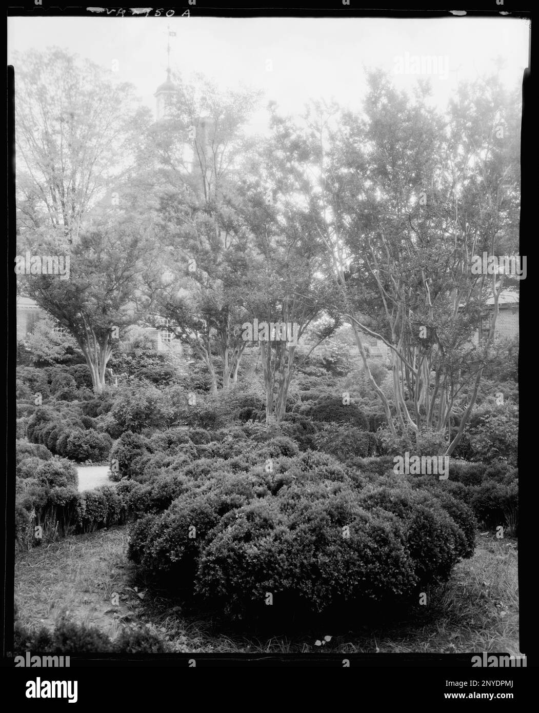 Palace Gardens, Williamsburg, James City County, Virginia. Carnegie ...