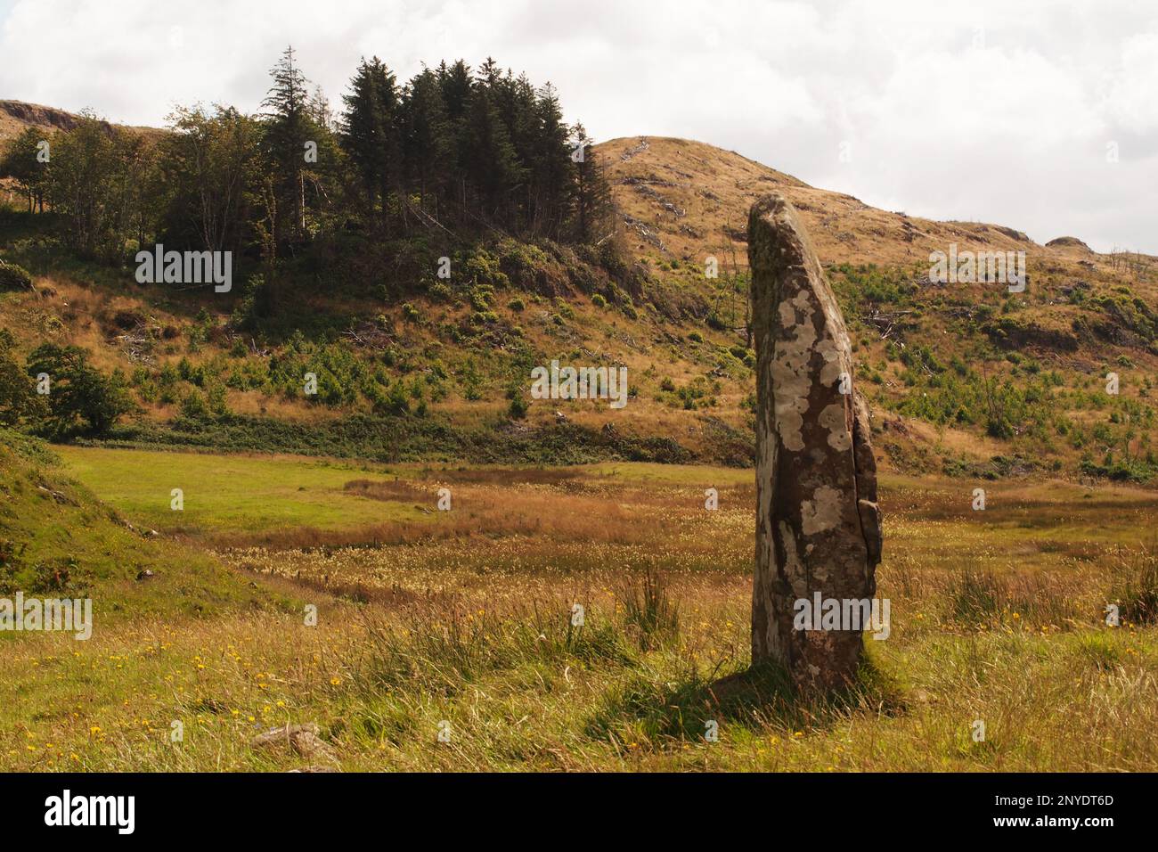 Glengor standing stones hi-res stock photography and images - Alamy