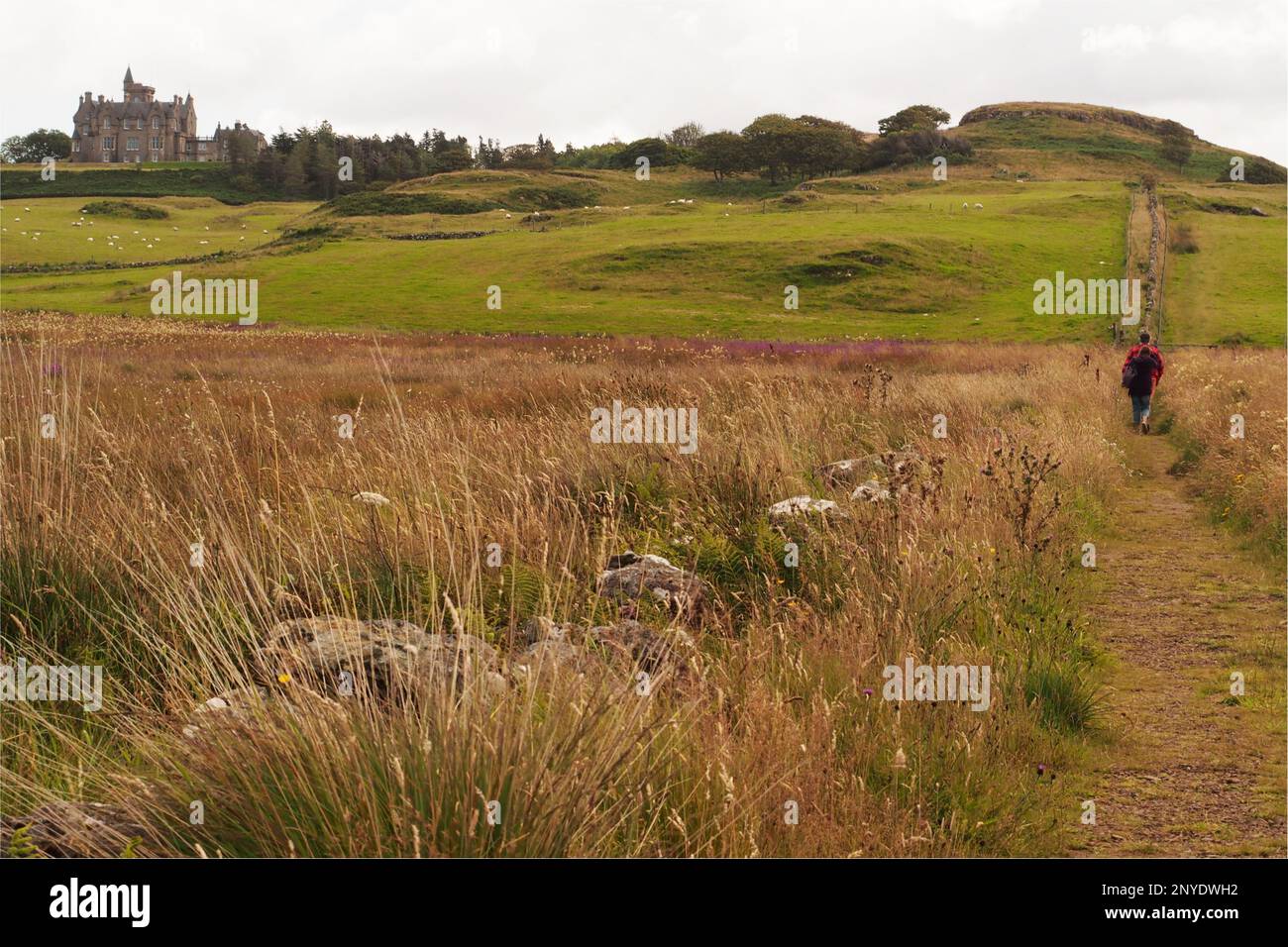 Landscape near Glengorm Castle, Mishnish, Mull, Scotland. UK showing ...