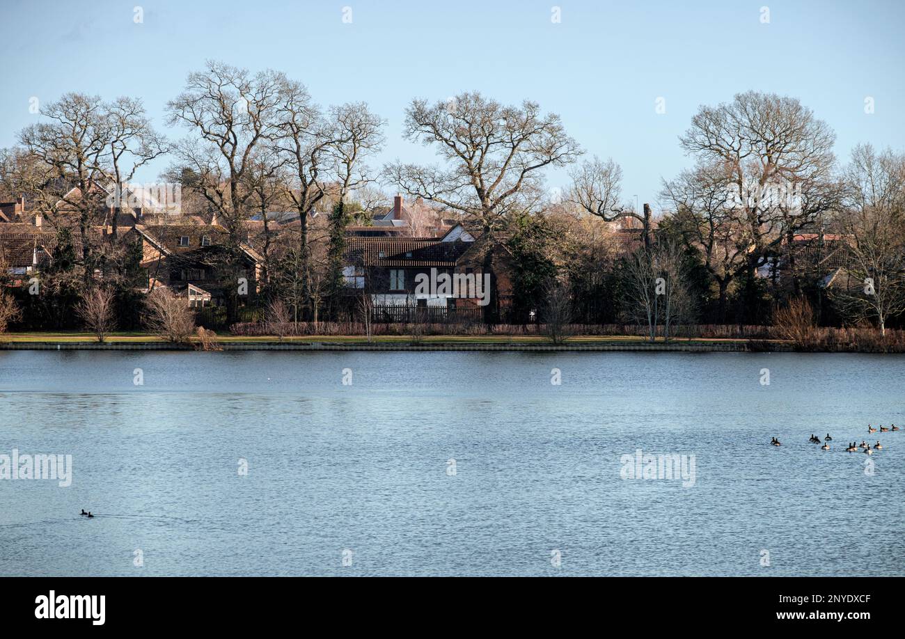 Serene lakeside view residential hi-res stock photography and images ...