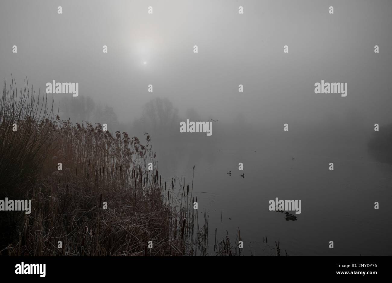Thick fog winter weather hi-res stock photography and images - Alamy