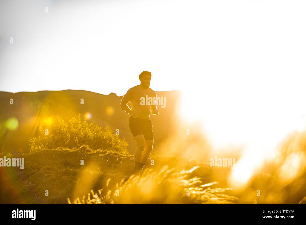 Athletic young man running in the nature. Healthy lifestyle Stock Photo ...