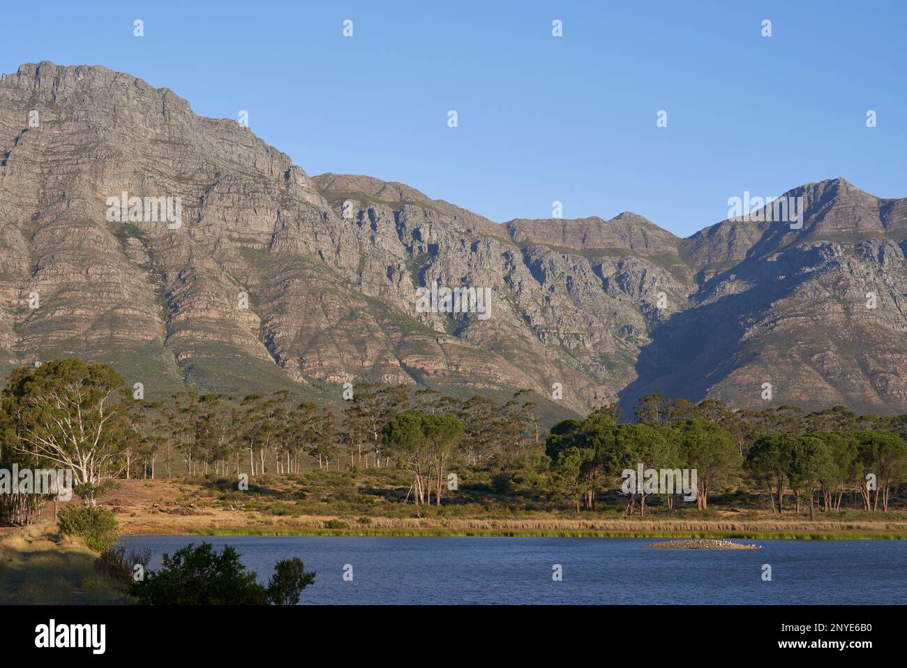 Escarpment rising above the plains and trees of Elandsberg Nature ...