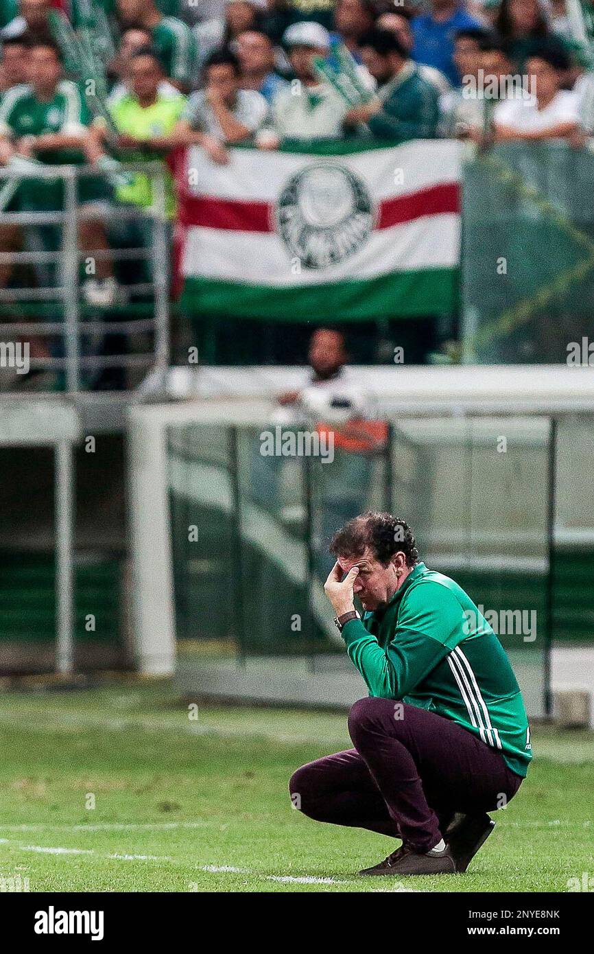 SP - Sao Paulo - 09/08/2017 - Libertadores 2017 - Palmeiras X Barcelona ...
