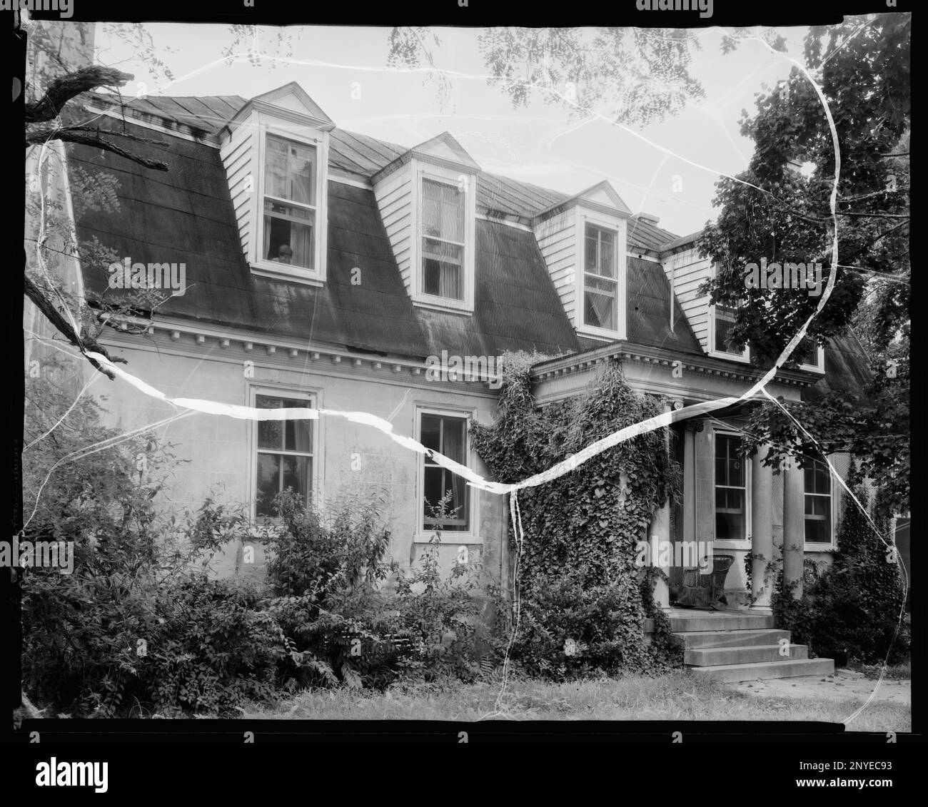 Four Mile Tree, Spring Grove vic., Surry County, Virginia. Carnegie ...
