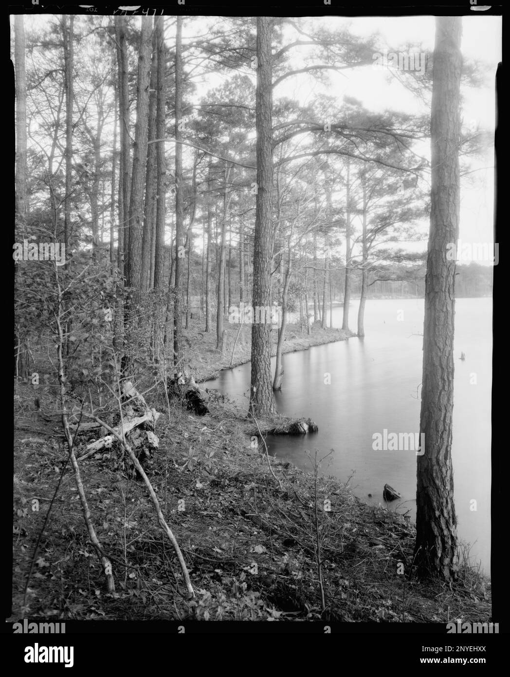 The Kellams, Princess Anne County, Virginia. Carnegie Survey of the ...