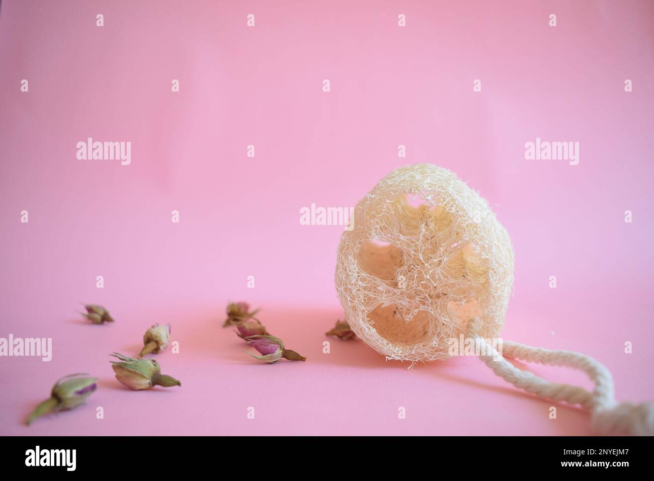 Natural Luffa Sponge. Body scrap with natural sponge Stock Photo - Alamy