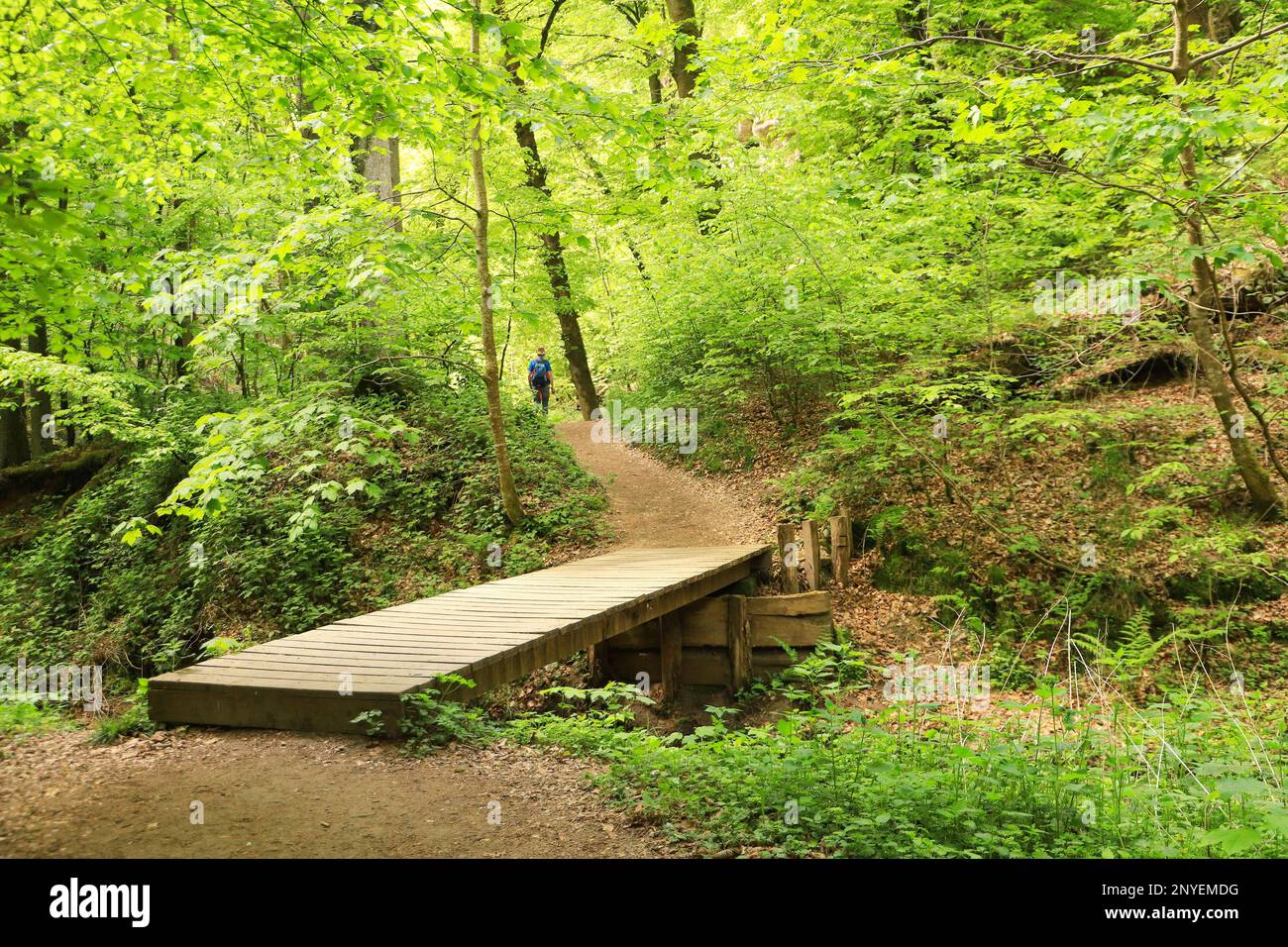 Shady canyon hi-res stock photography and images - Alamy