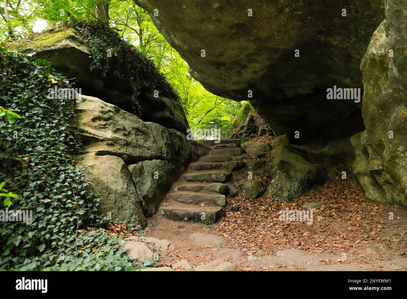 The rock labyrinth on the Mullerthal Trail, Luxembourg Stock Photo - Alamy