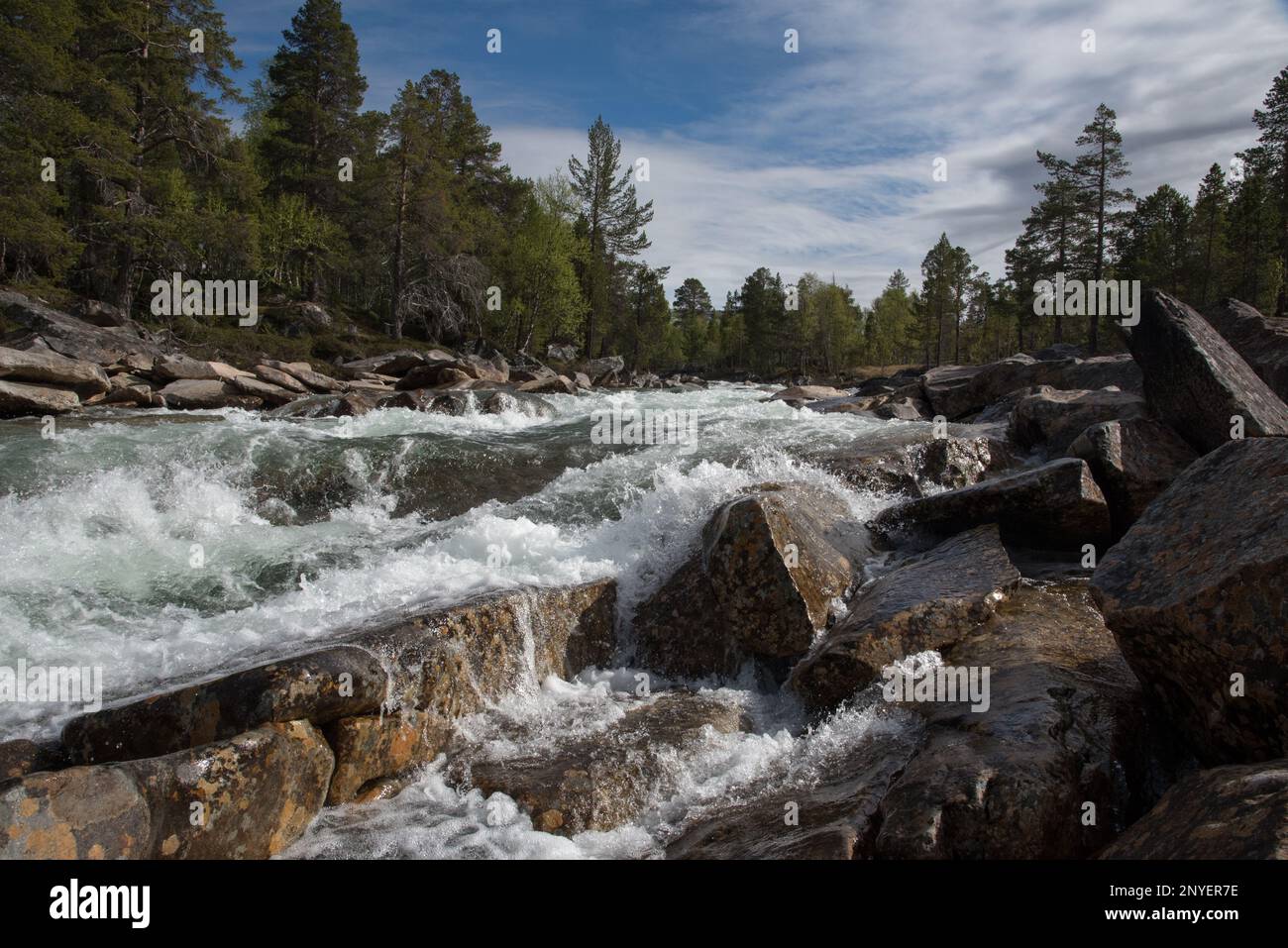 Saltelva rapid in Saltdal community in Nordland Province in Norway ...