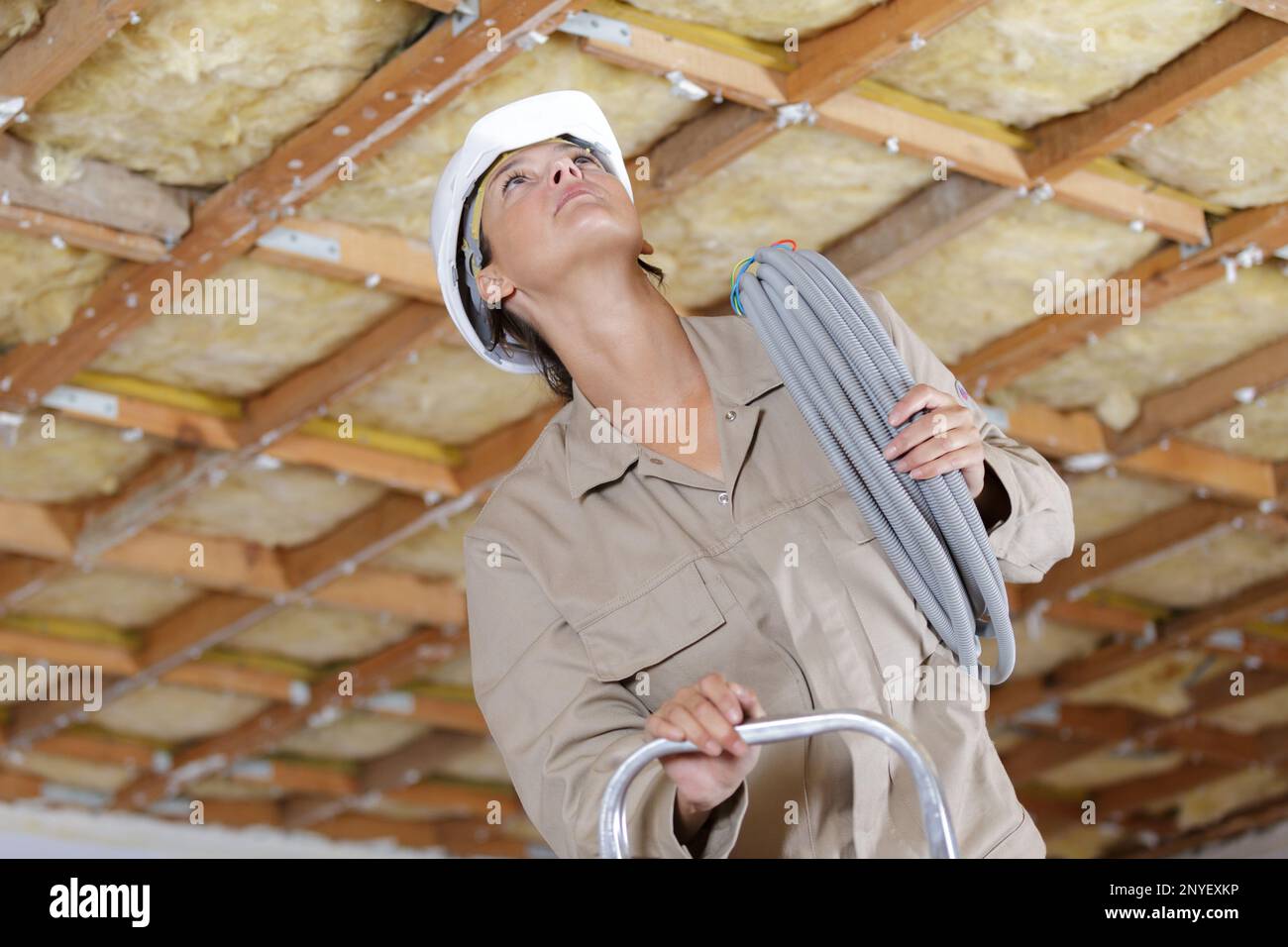 Woman standing on step ladder hi-res stock photography and images - Alamy