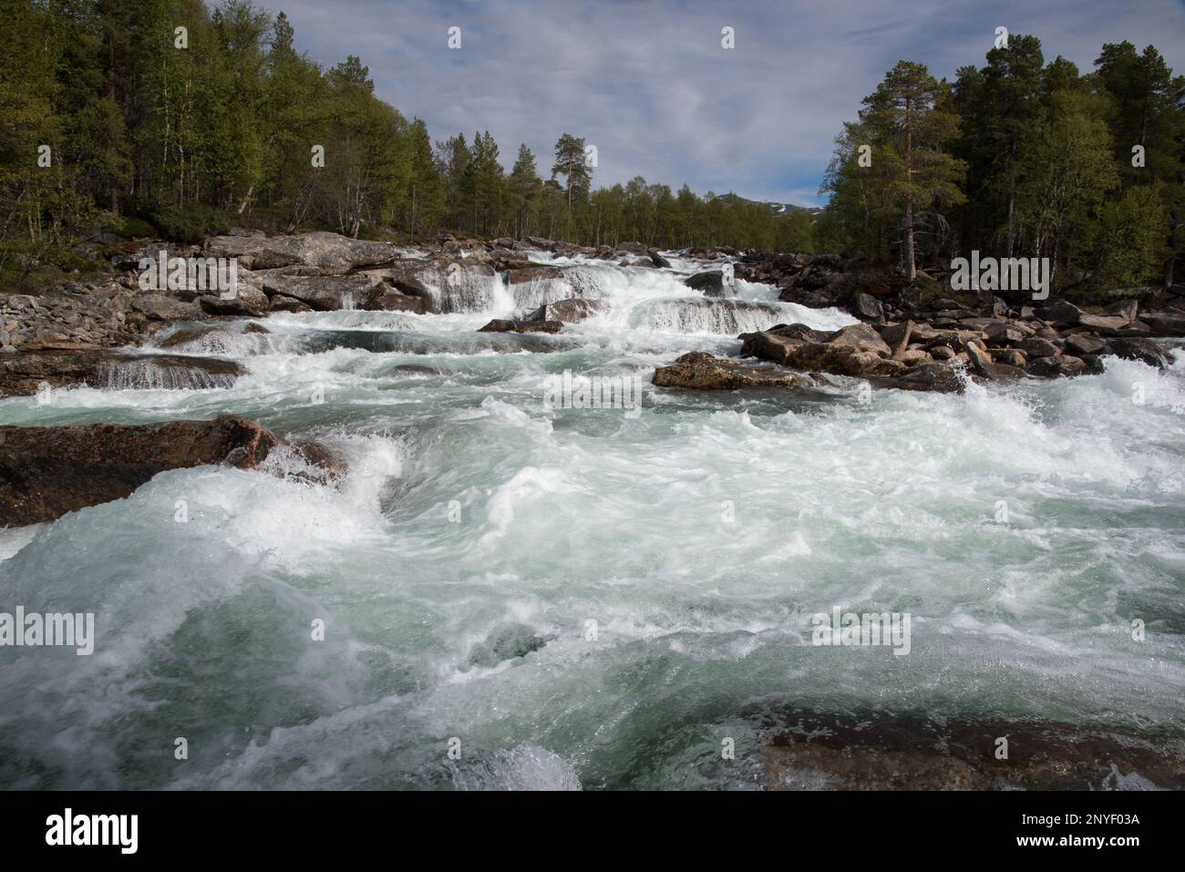 Saltdal river hi-res stock photography and images - Alamy
