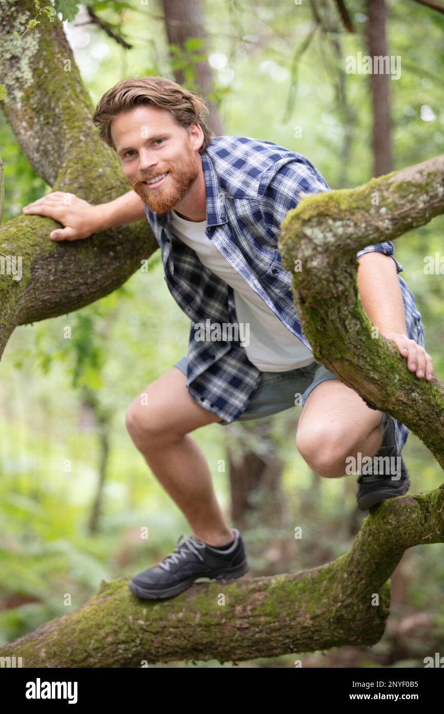 Man on tree limb hi-res stock photography and images - Alamy