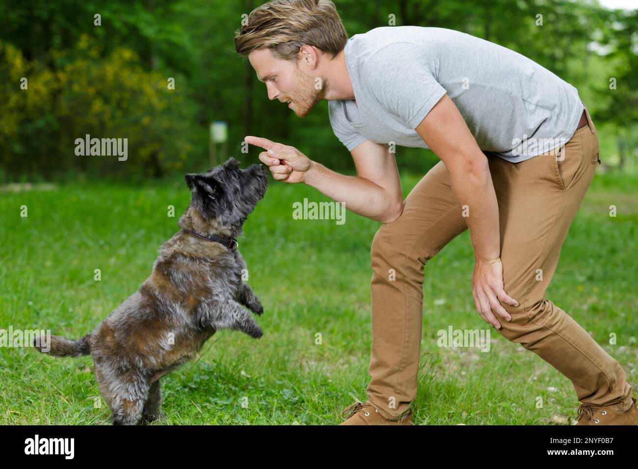 Dog following human hi-res stock photography and images - Alamy