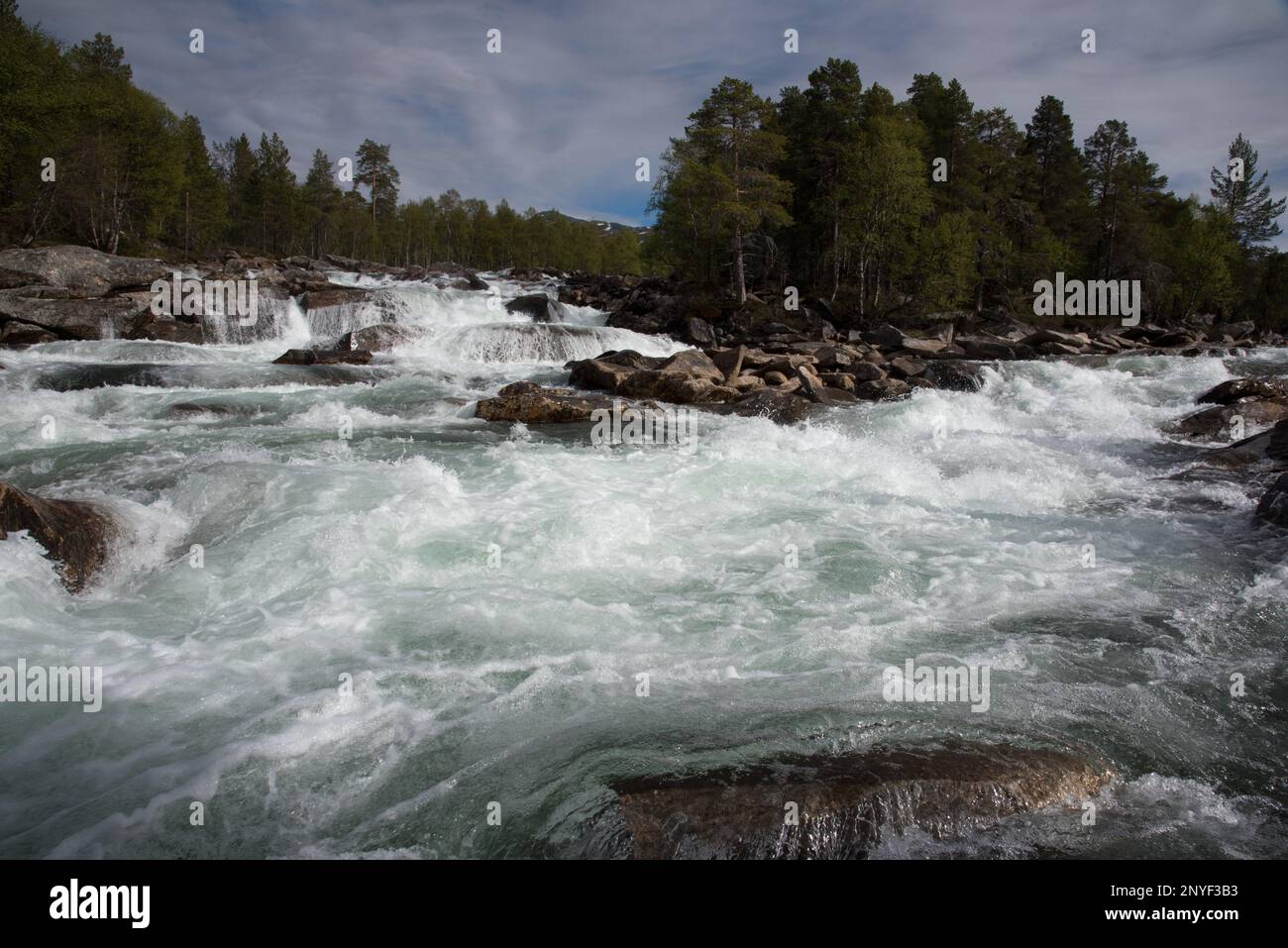 Saltdal river hi-res stock photography and images - Alamy