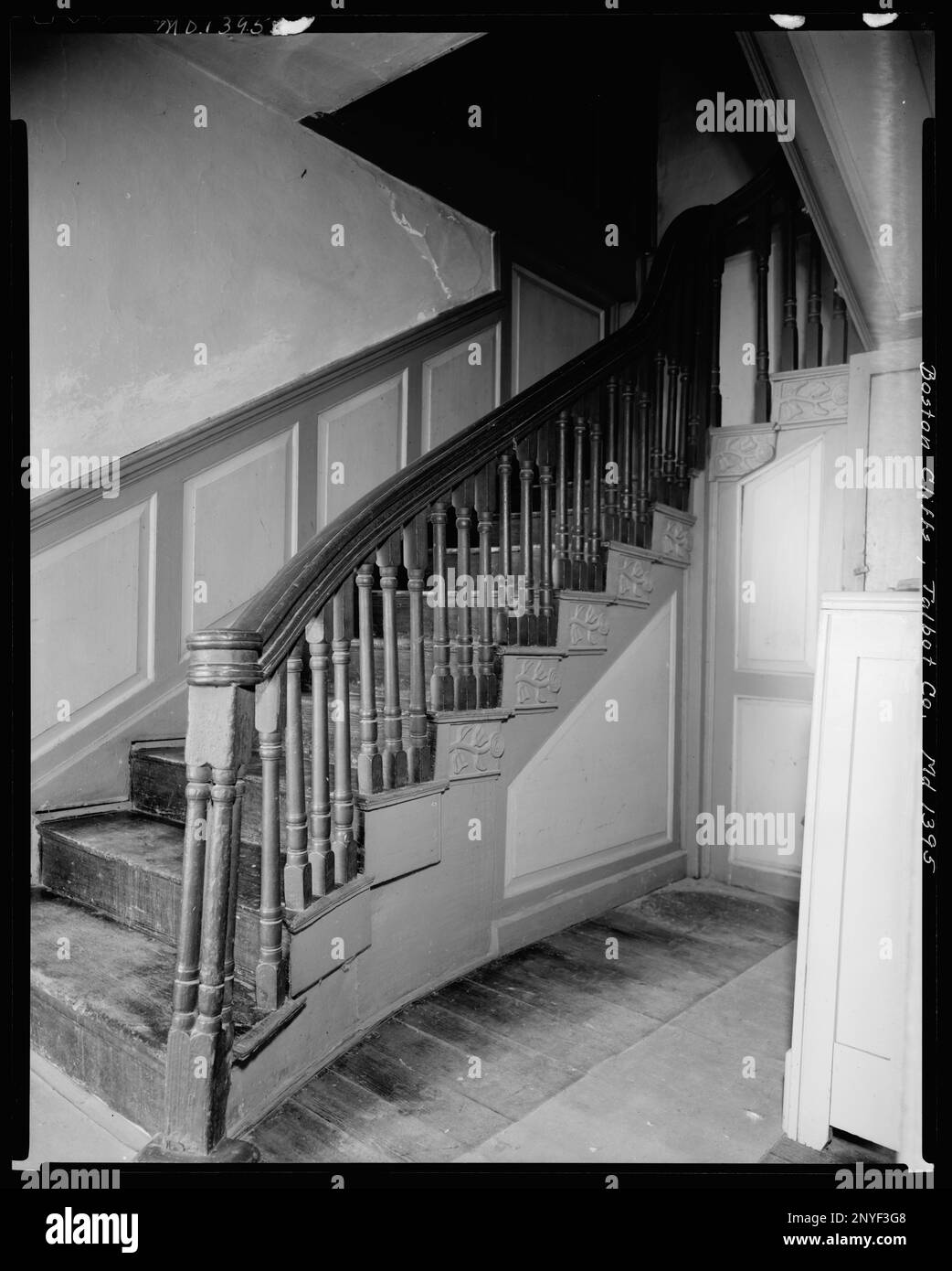 Boston Cliffs, Talbot County, Maryland. Carnegie Survey of the ...