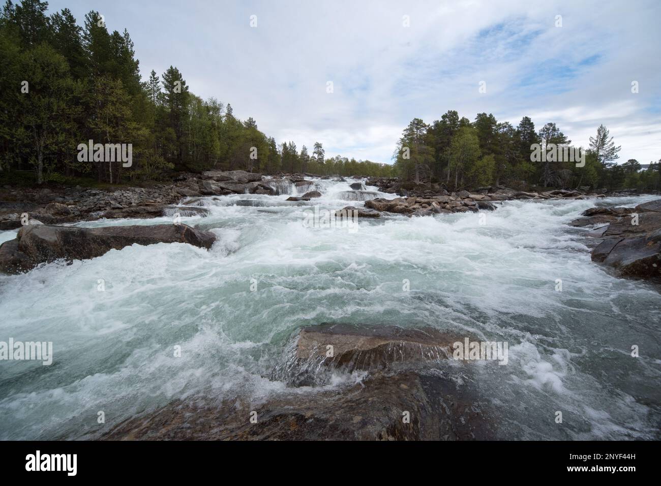 Saltelva rapid in Saltdal community in Nordland Province in Norway ...