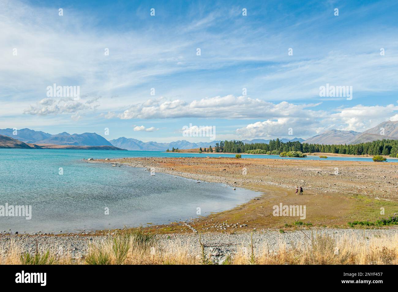 Mackenzie country with Lake Tekapo on South Island is one the most ...
