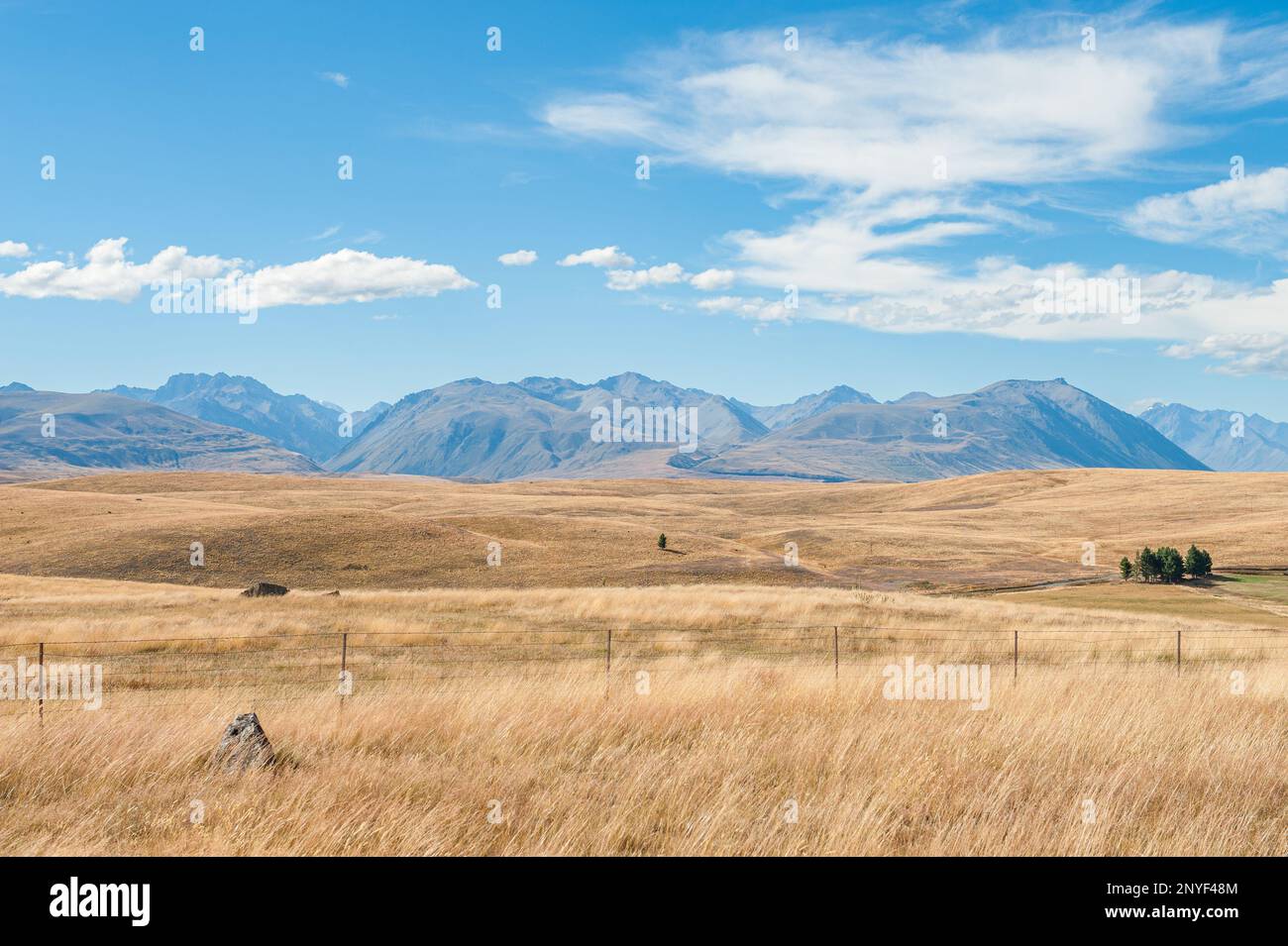 Mackenzie country on South Island is one the most beautiful regions in ...