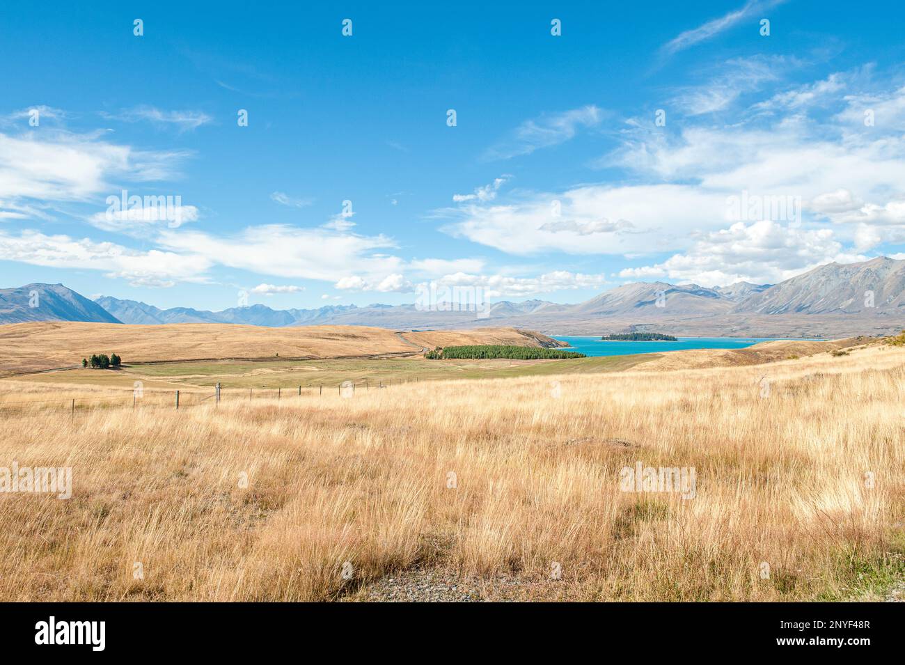 Mackenzie country with Lake Tekapo on South Island is one the most ...