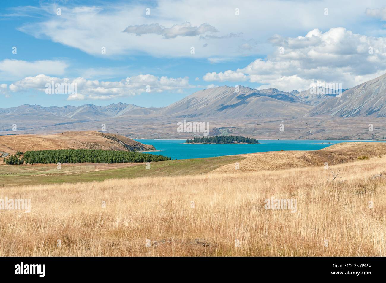 Mackenzie country with Lake Tekapo on South Island is one the most ...
