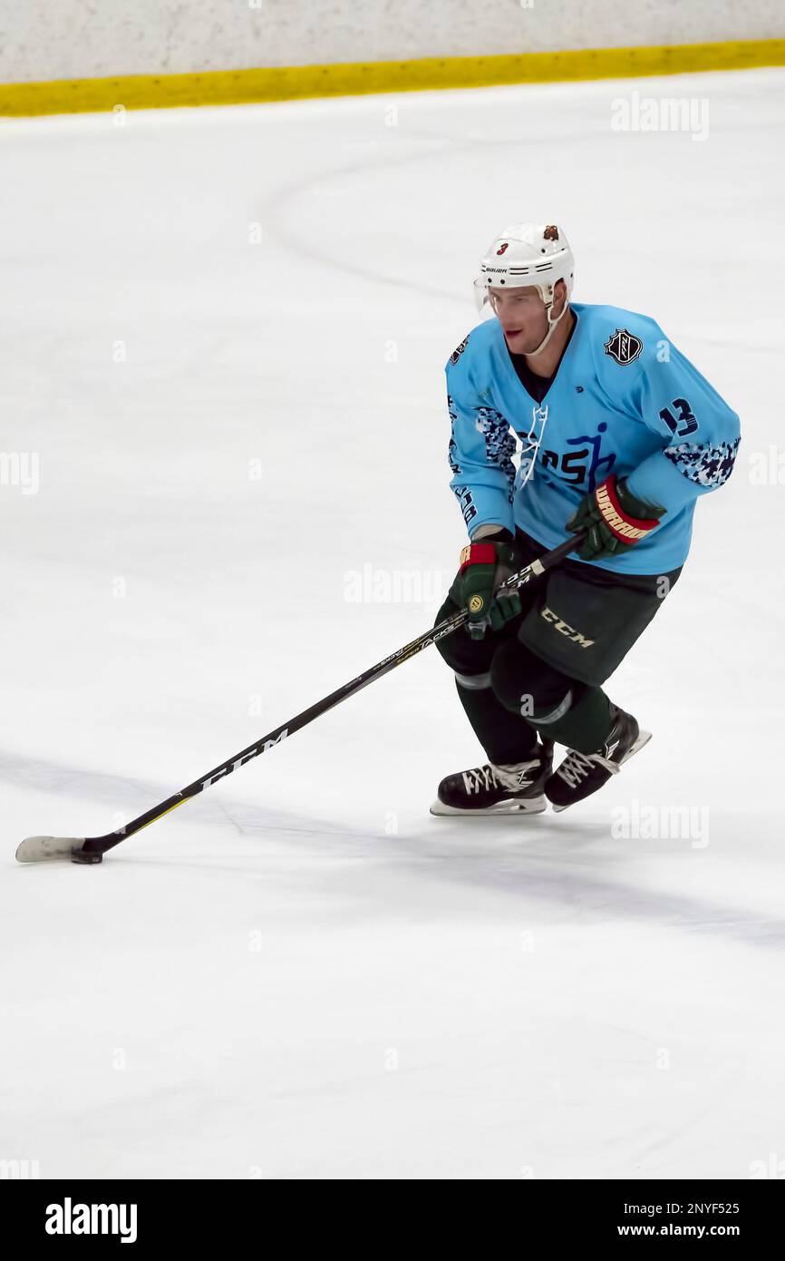 Minnesota Wild forward Charlie Coyle (13) carries the puck during the ...