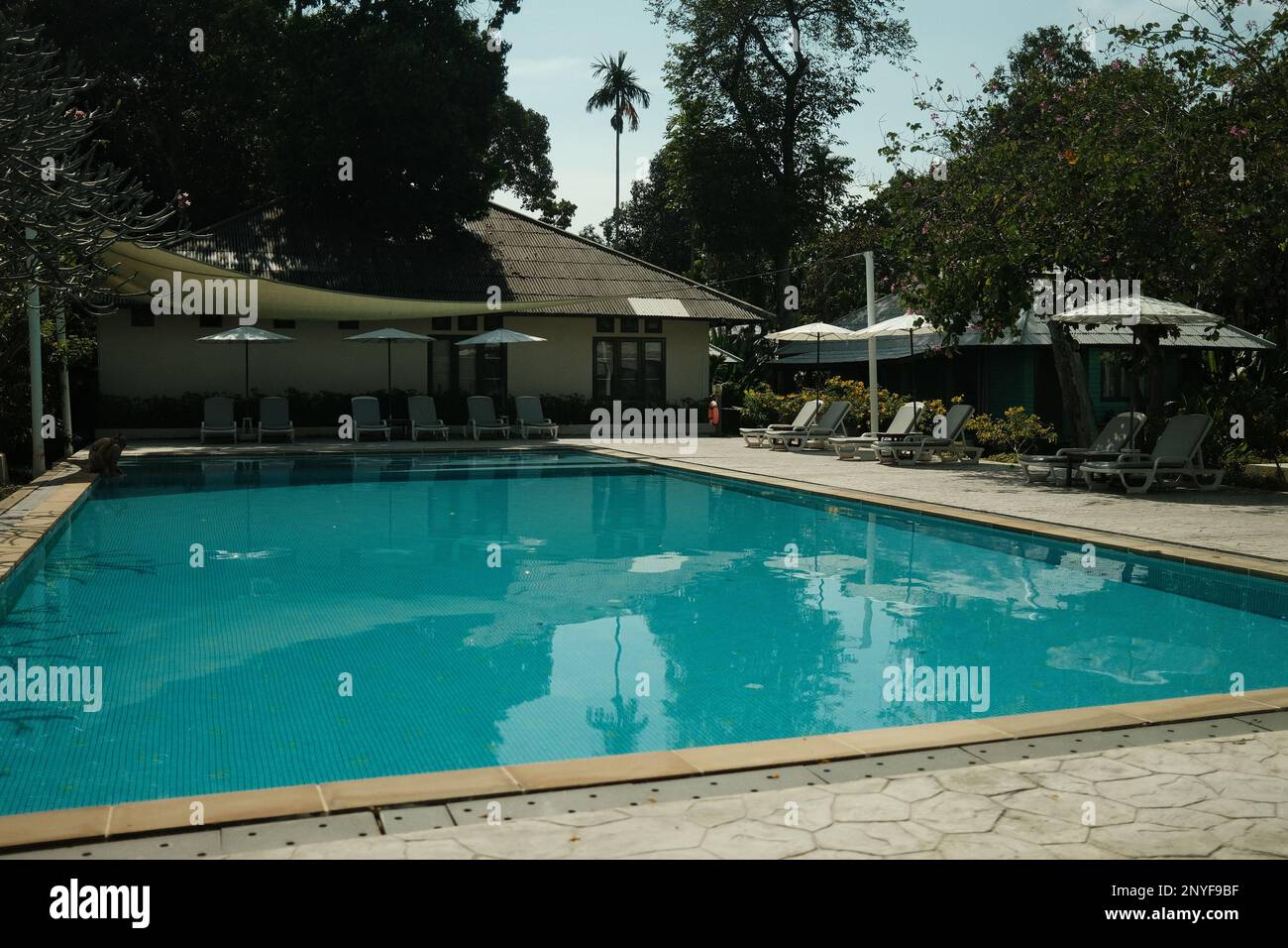 Beautiful relaxing swimming pool at an island beach resort Stock Photo ...