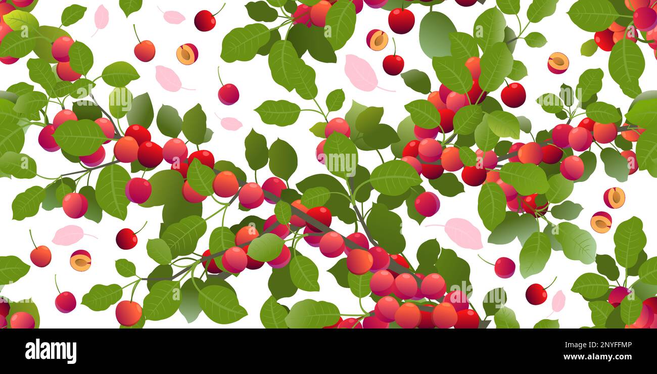 Branches overgrown cherry plum with ripe fruits. Garden plant with ...