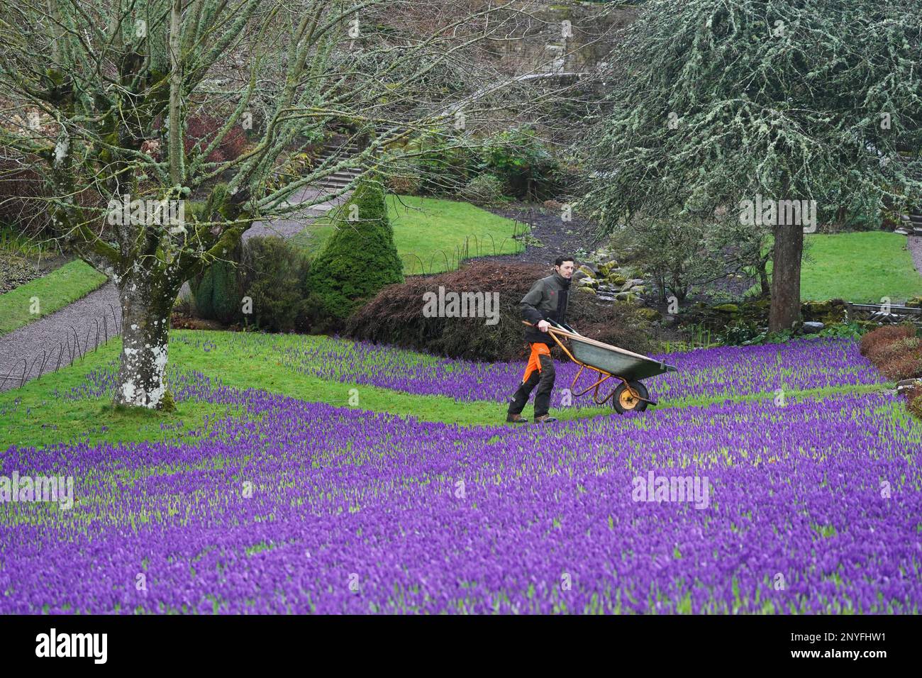 Uk mild winter 2023 hi-res stock photography and images - Alamy