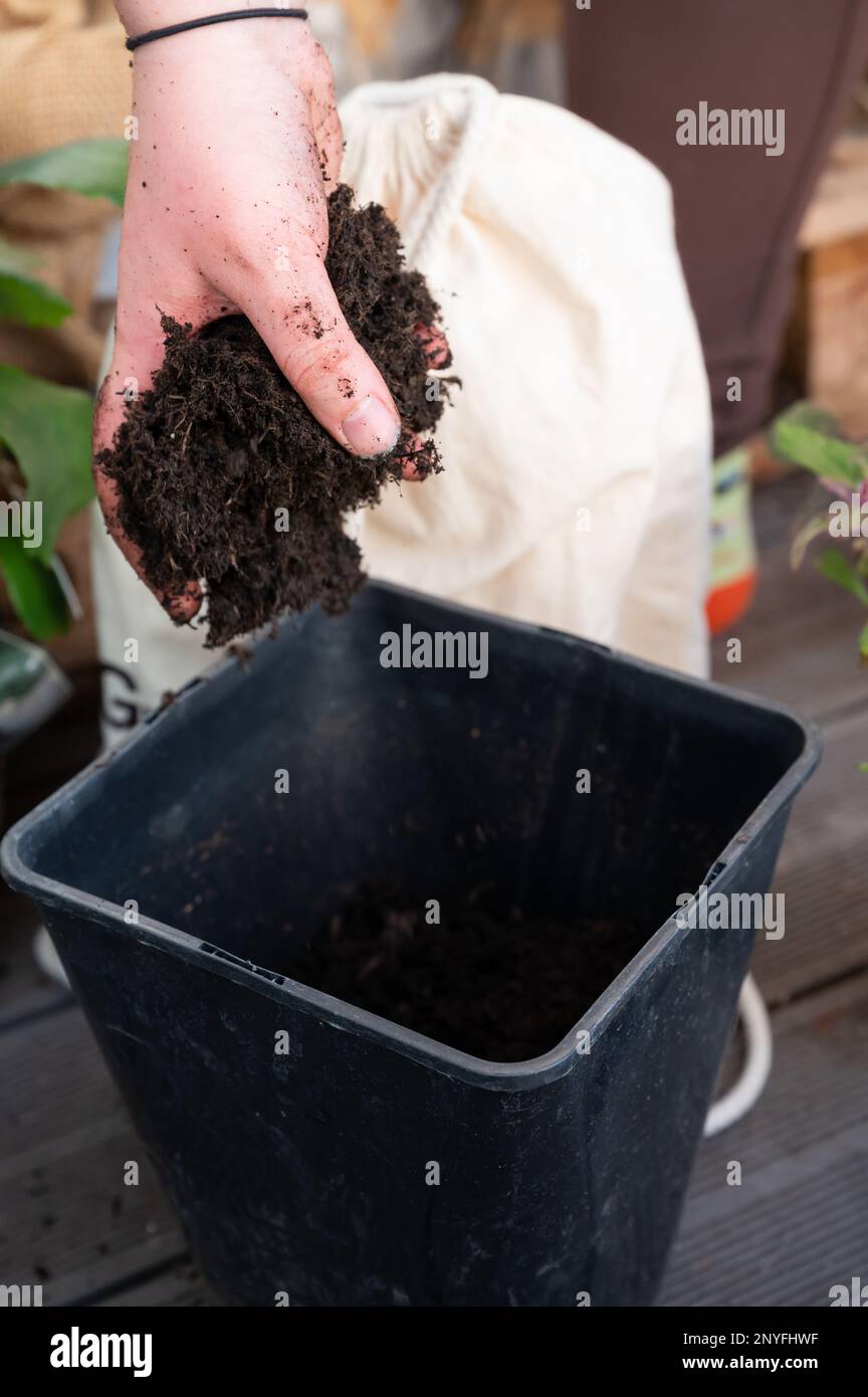 Close-up woman filling soil in a large black pot on the balcony, wooden ...