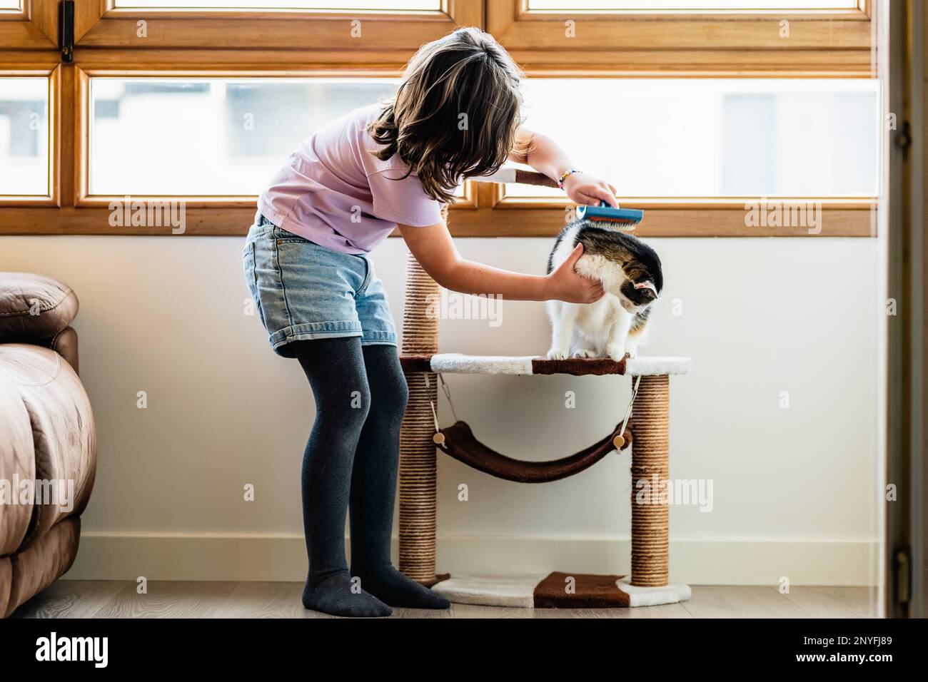 Full body side view of adorable girl in casual clothes brushing fluffy ...