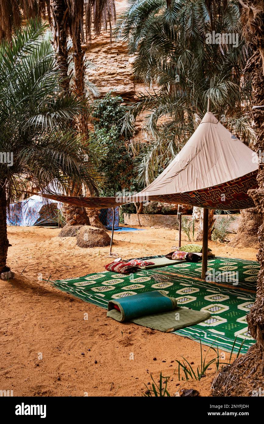 Tent with comfortable blanket and plaids placed on sandy beach near ...