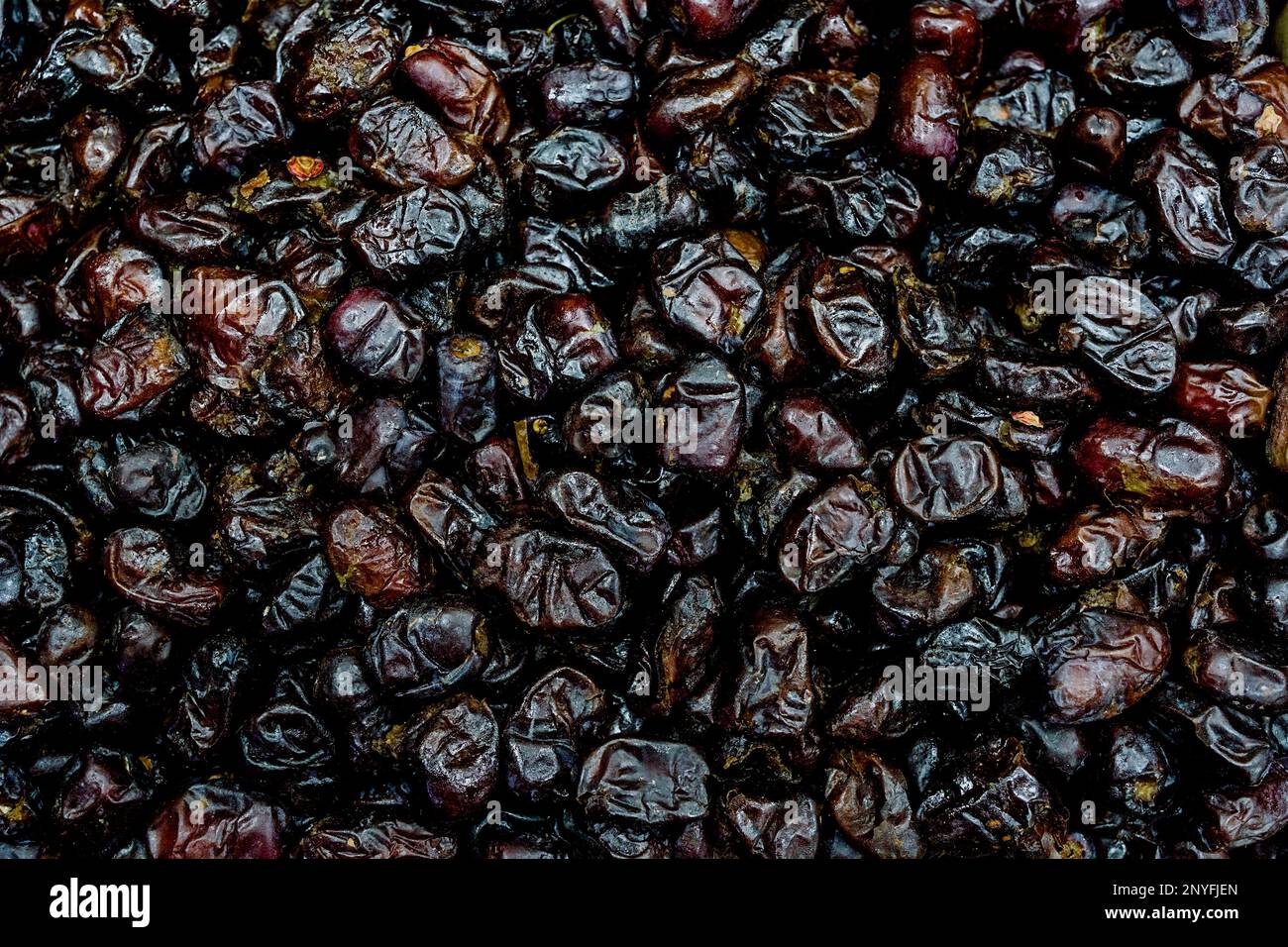 Background of dried dates placed on stall in local market at Mauritania ...