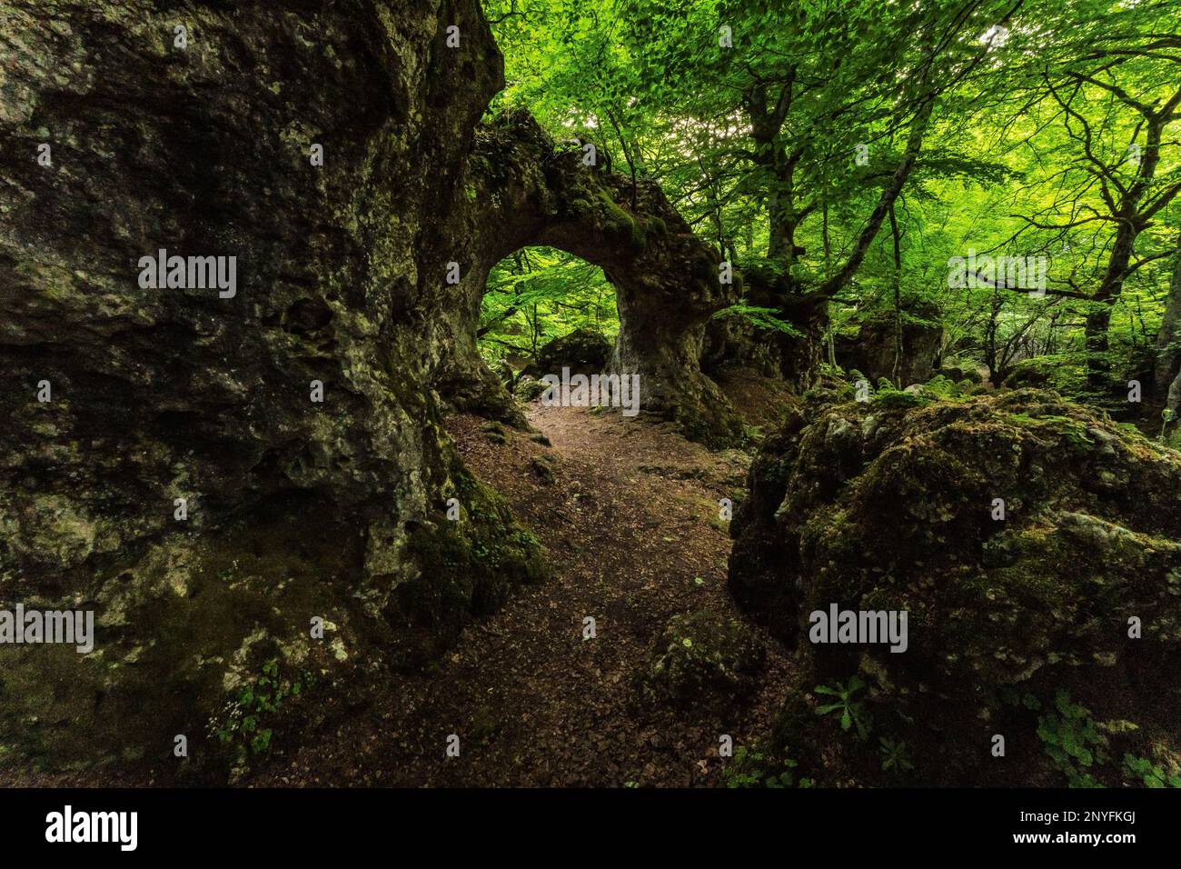 Picturesque scenery of rough stony cave with green trees and bushes ...