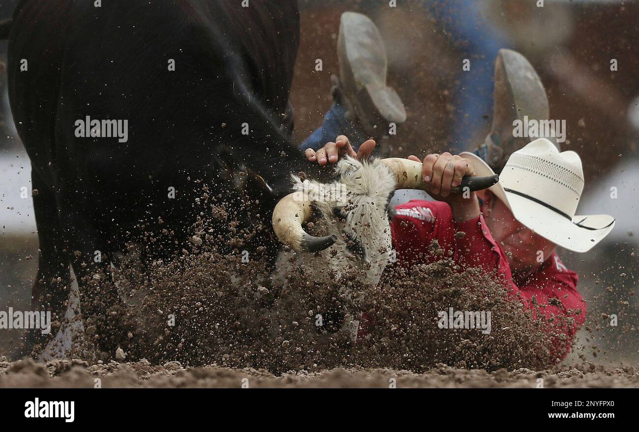 Justin Shaffer of Hallsville, Texas, competes in steer wrestling at the ...