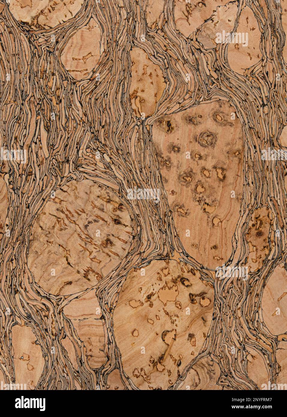 Wood cork surface Stock Photo - Alamy