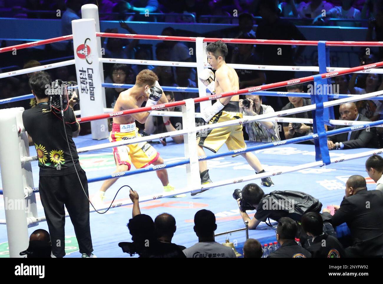 Japanese boxer Sho Kimura, center, hits Chinese boxer Zou Shiming, right, during the 2017 WBO ...