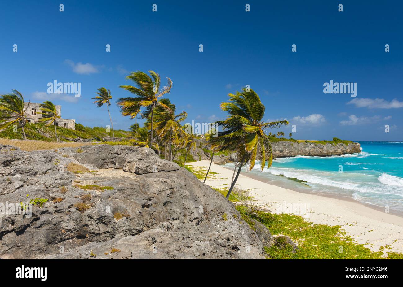 Harrismith barbados hi-res stock photography and images - Alamy