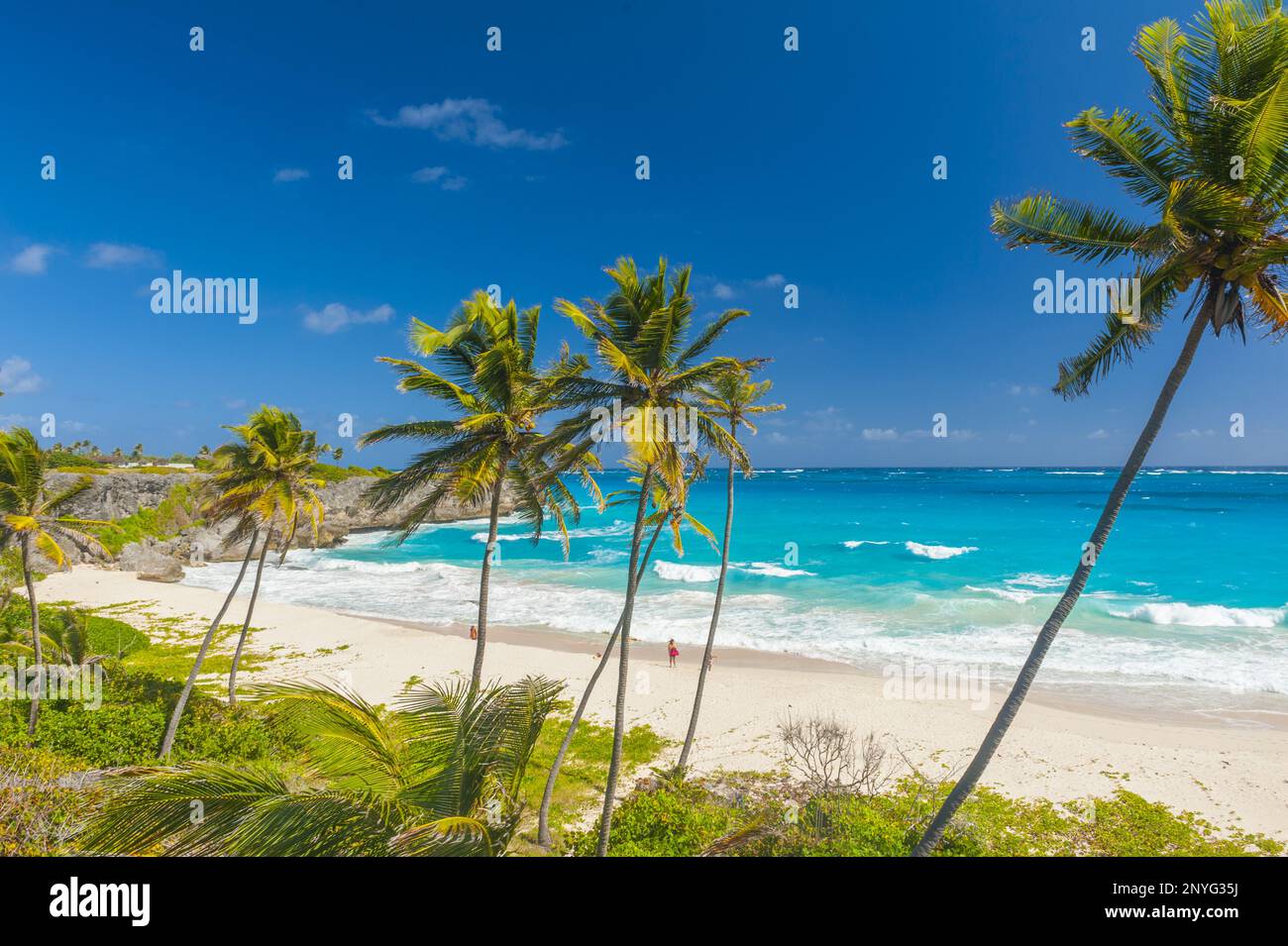 Most Beautiful Tropical Beaches