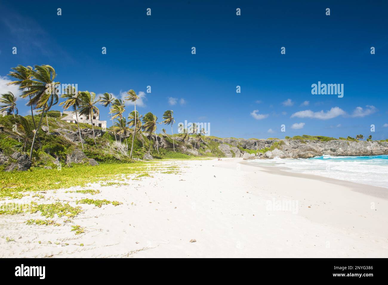 Harrismith Beach is one of the most beautiful beaches on the Caribbean ...