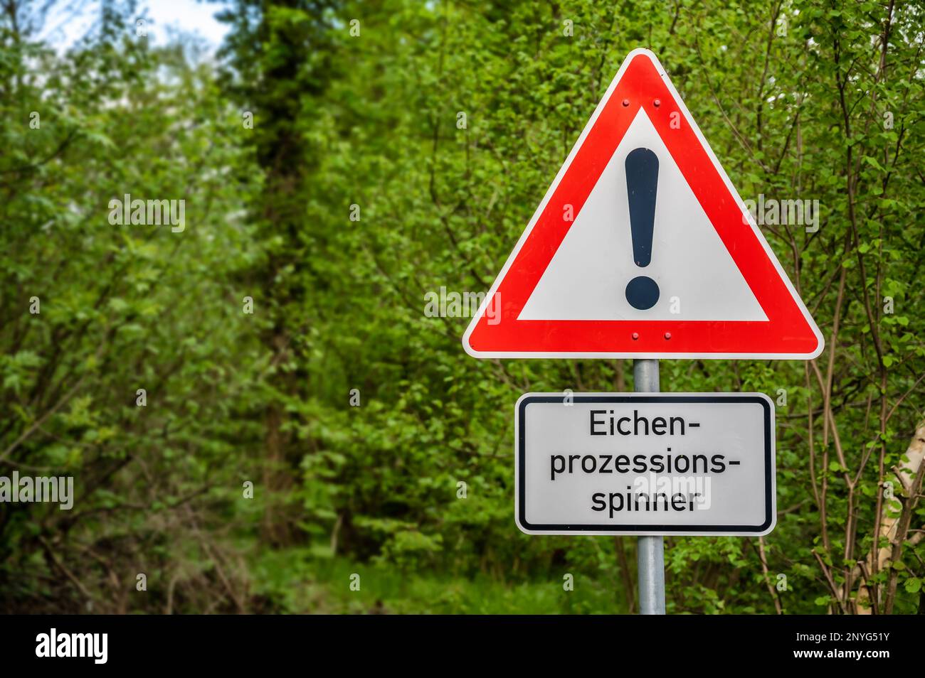 Warning sign in a wooded area in front of the oak processionary moth ...